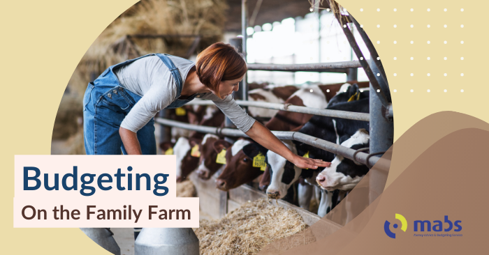 Family Farm Budgeting: Expert Tips for Farmers | MABS